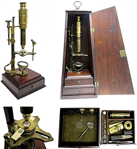 evolución de los instrumentos de observación de células y moléculas ...