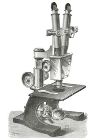 Evolución de los instrumentos de observación de células y moléculas ...