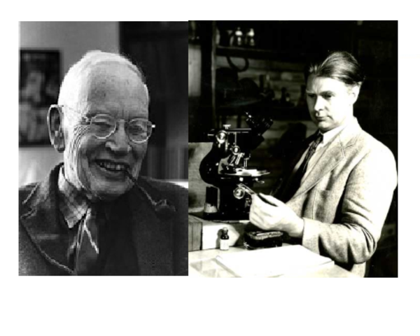 Historia de la biología molecular timeline | Timetoast timelines