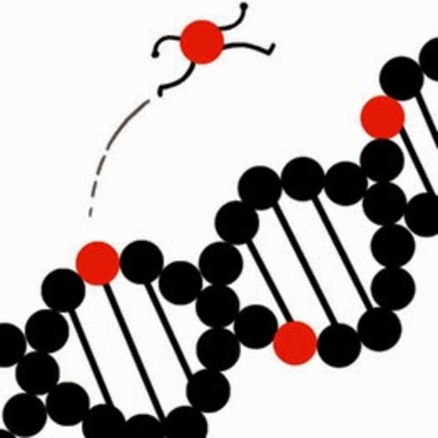 Historia de la Biología timeline | Timetoast timelines