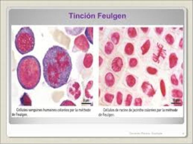 científicos de la biología molecular timeline | Timetoast timelines