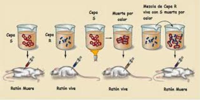 científicos de la biología molecular timeline | Timetoast timelines