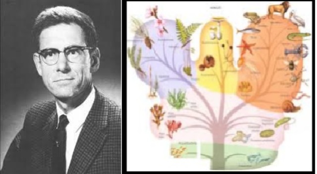 HISTORIA DE LA BIOLOGÍA timeline | Timetoast timelines