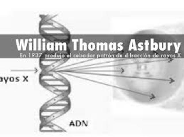 Historia De La Biologia Epoca Molecular timeline | Timetoast timelines