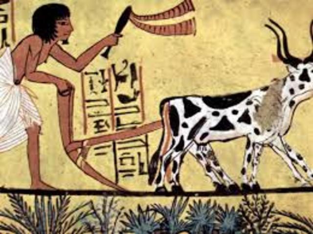 PERIODIZACION DE LA HISTORIA DE AMERICA timeline | Timetoast timelines