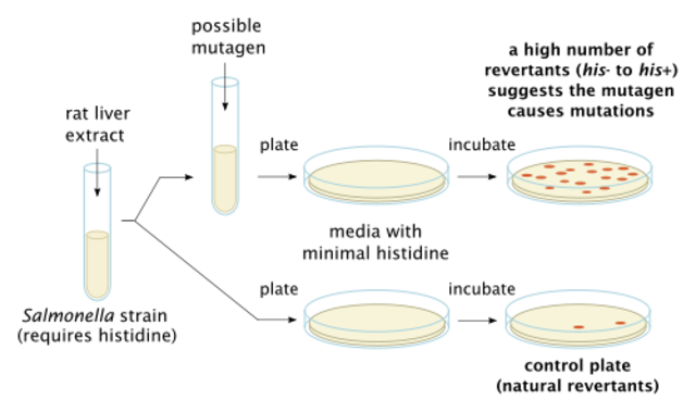 Desarrollo de la microbiología timeline | Timetoast timelines