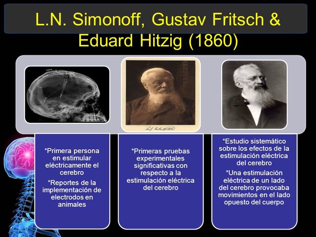 Las neurociencias de la Conducta "Un viaje que no se detiene" timeline ...