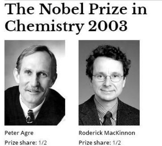 Antecedentes de la química timeline | Timetoast timelines