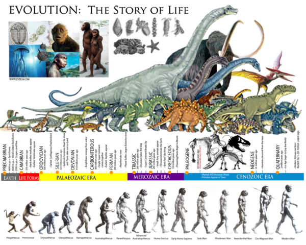 Charles Robert Darwin timeline | Timetoast timelines