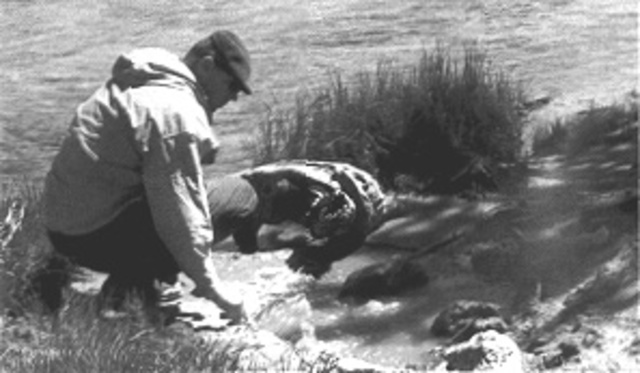 Historia de la Ecología Microbiana timeline | Timetoast timelines