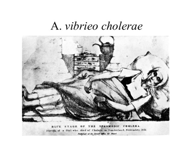 NUTRICION PARENTERAL Y ENTERAL timeline | Timetoast timelines