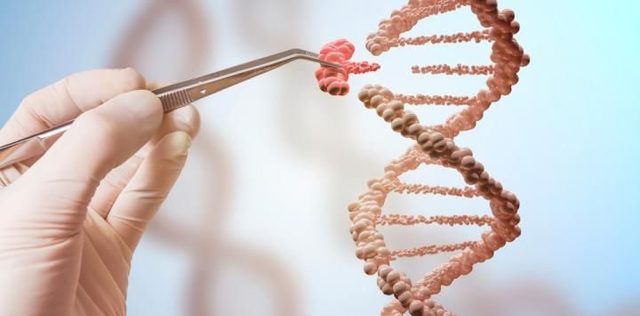 Avances y Desarrollo de la Biología timeline | Timetoast timelines