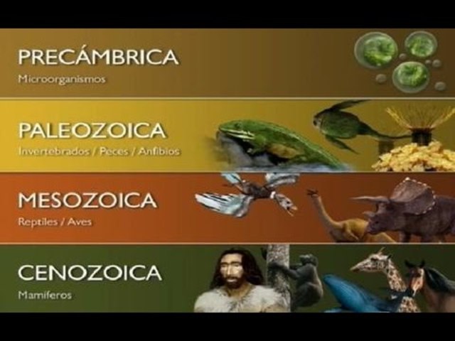 Eras Geologicas timeline | Timetoast timelines