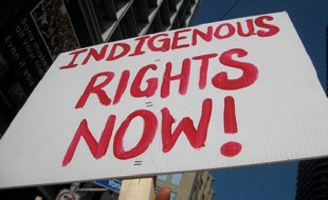 Indigenous Rights Movement timeline | Timetoast timelines
