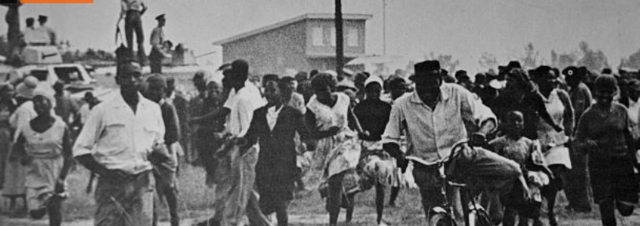 Apartheid Laws Timeline | Timetoast timelines