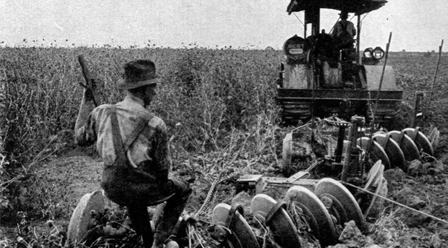 Farming timeline | Timetoast timelines