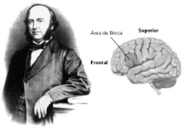 De la fisiologìa nerviosa a la tradiciòn de pensamiento psicobiològico ...