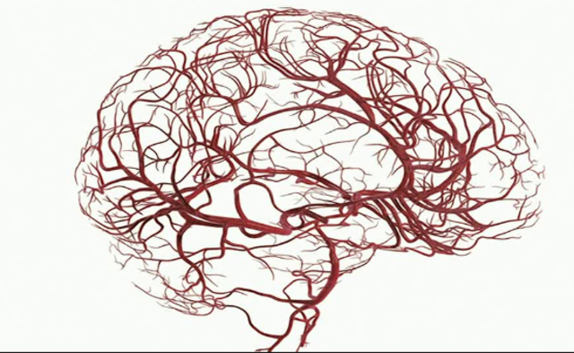 Fisiopatologia de EVC timeline | Timetoast timelines