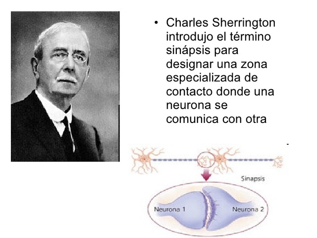 Antecedentes históricos del estudio de la Biología del Comportamiento ...
