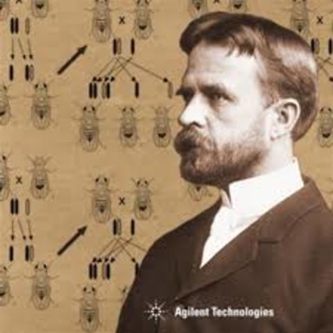 Contributions to the cell theory timeline | Timetoast timelines