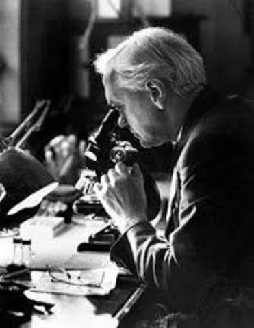 Alexander Fleming timeline | Timetoast timelines