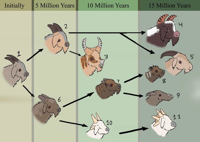 Evolution of the Goat timeline | Timetoast timelines
