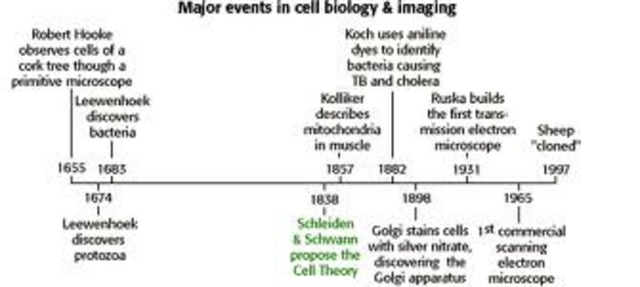 Cell theory timeline | Timetoast timelines