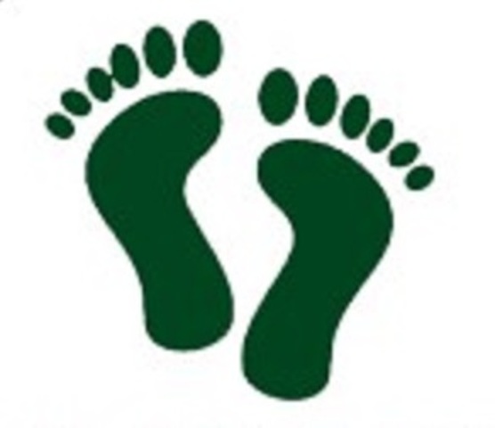 The Chrysalids timeline | Timetoast timelines