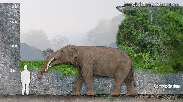 Elephant Evolution timeline | Timetoast timelines