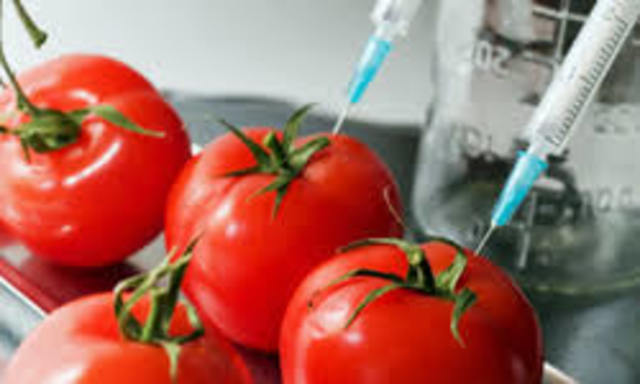 Biotech. Advances Timeline- By: Jahlysa Allen | Timetoast timelines