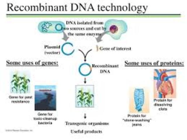 Biotech. Advances Timeline- By: Jahlysa Allen | Timetoast timelines