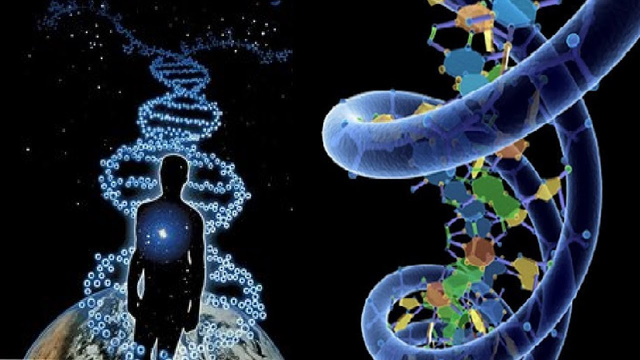 El origen de la vida timeline | Timetoast timelines