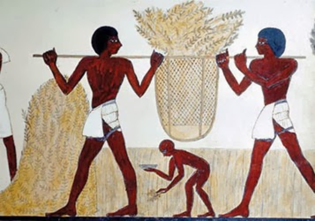 Historia de la Gastronomia timeline | Timetoast timelines