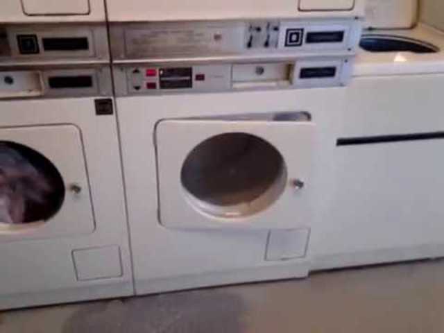 The Evolution of a Clothes Dryer timeline | Timetoast timelines