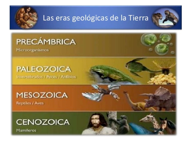 Eras geológicas de la Tierra en millones de años. timeline | Timetoast ...
