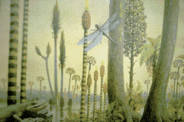 Evolution of first plants timeline | Timetoast timelines