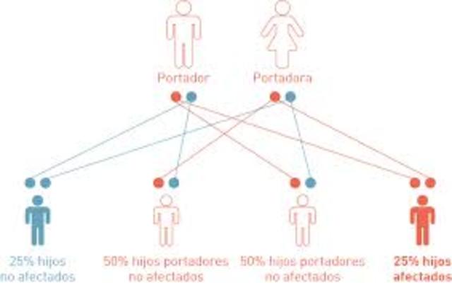 Síndromes por alteración del ADN timeline | Timetoast timelines