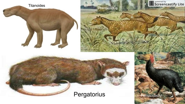 The Geologic Column timeline | Timetoast timelines