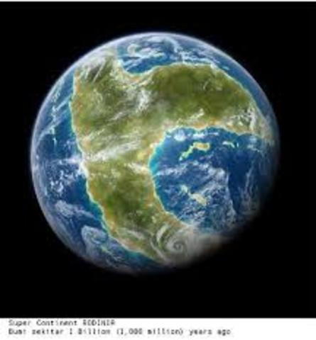 la creación de la tierra paso a paso timeline | Timetoast timelines