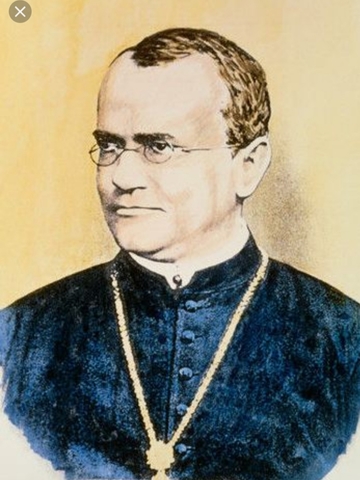 Gregor Johann Mendel timeline | Timetoast timelines