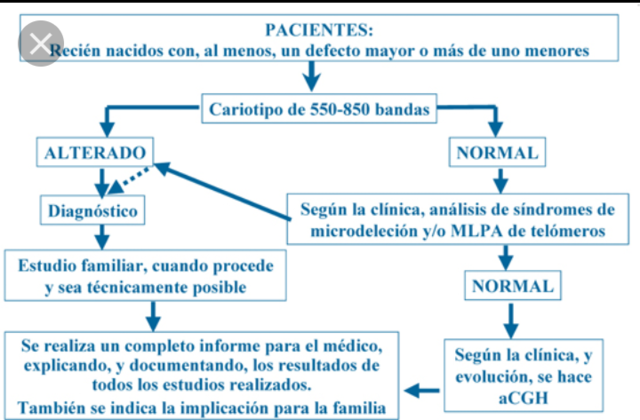 Alteracion cromosomica timeline | Timetoast timelines