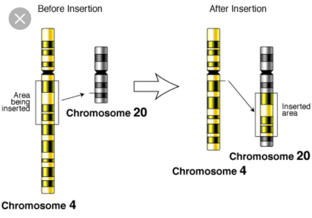 Alteracion cromosomica timeline | Timetoast timelines