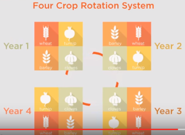 Reece Combs Mod 5 Lesson 1 Act 1 timeline | Timetoast timelines