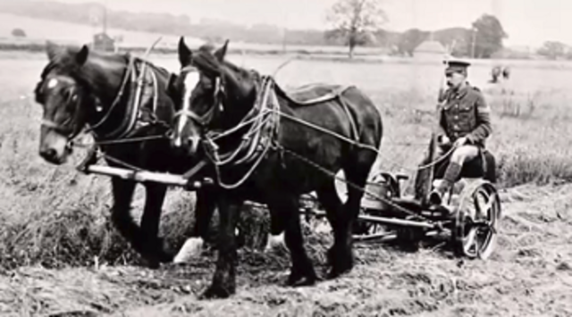 1800 - 1876 timeline | Timetoast timelines