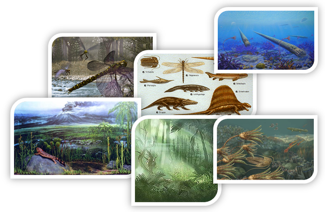 ERAS GEOLÓGICAS timeline | Timetoast timelines