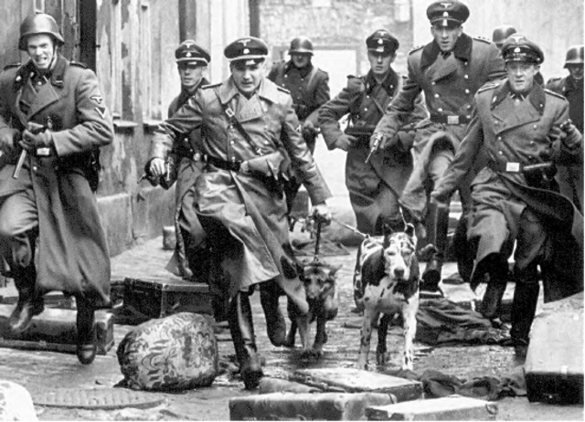 Maus timeline | Timetoast timelines