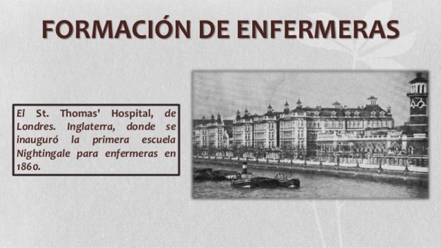 “Evolución de la profesión de enfermería” timeline | Timetoast timelines