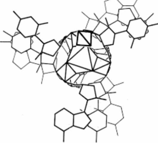 DNA timeline | Timetoast timelines