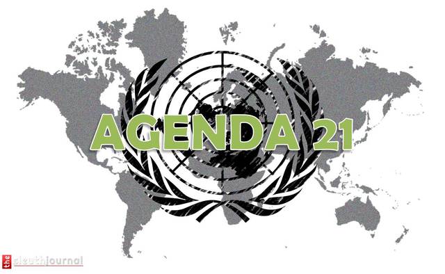 Desarrollo Sustentable timeline | Timetoast timelines