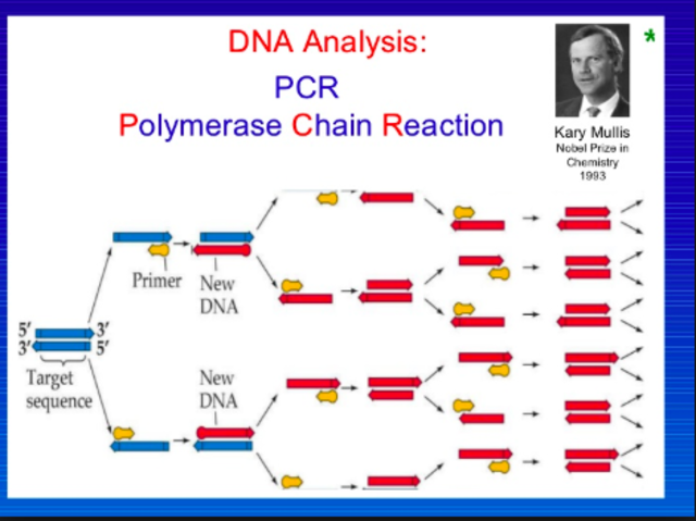 DNA timeline | Timetoast timelines